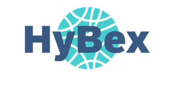 Hybex webinar on the pilot market platform tool